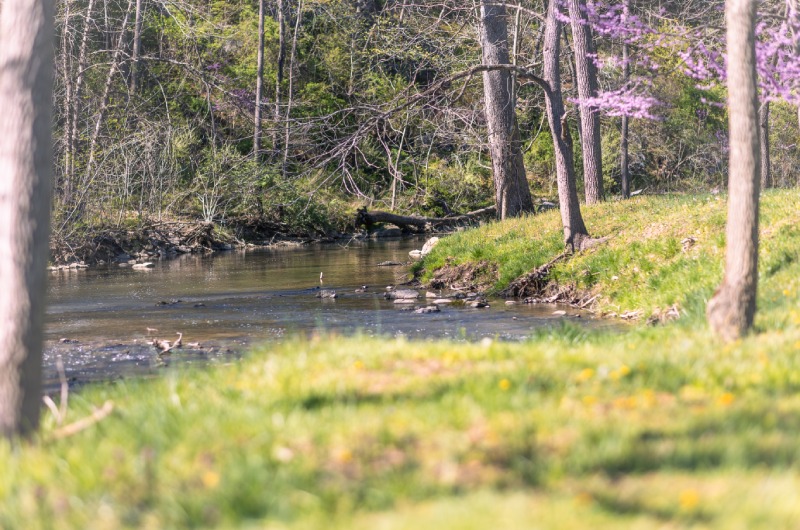 Southern Elegance At Valley Mills Farm, Swoope, Virginia | Southern Bride
