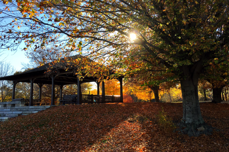 Louisville, Kentucky: The Hidden Gem For Bachelorette Parties ...